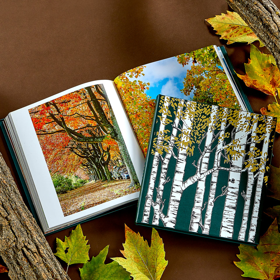 Graphic Image Leather | Datebooks | Albums | Frames | Journals | Acce